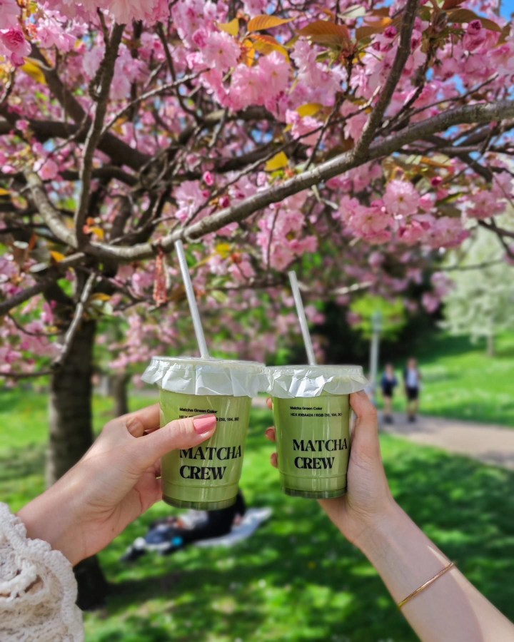 Nejlepší Iced Matcha Latté v Praze